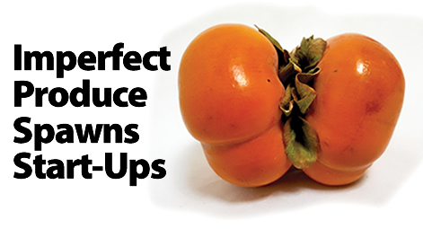 Composting, Renewable Energy & Sustainability | BioCycle.net BioCycle