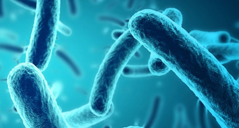 Composting And Microbial Inoculants | BioCycle