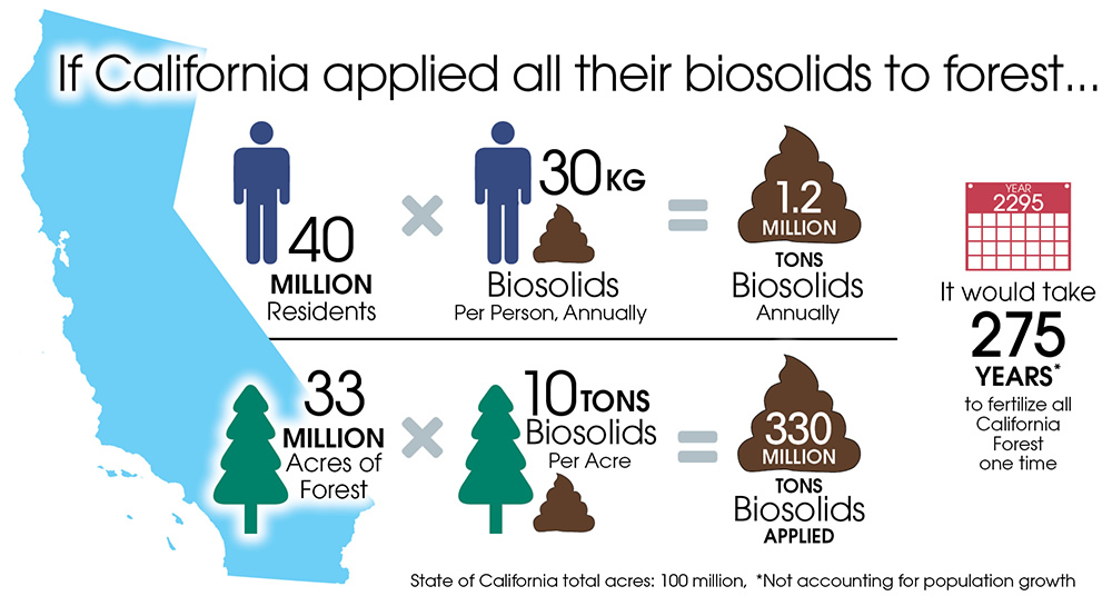 Connections: Hail To The Trees … And The Biosolids | BioCycle