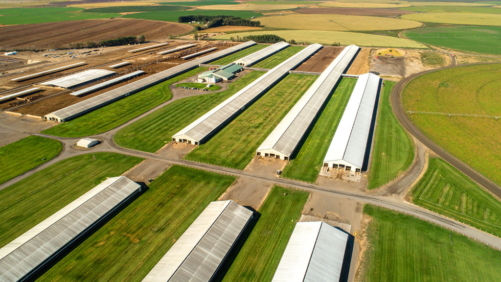 Mega Dairy Integrates RNG Production | BioCycle