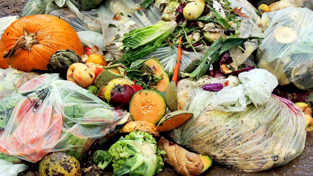 Do Food Scrap Recycling Mandates & Landfill Bans Actually Work? | BioCycle
