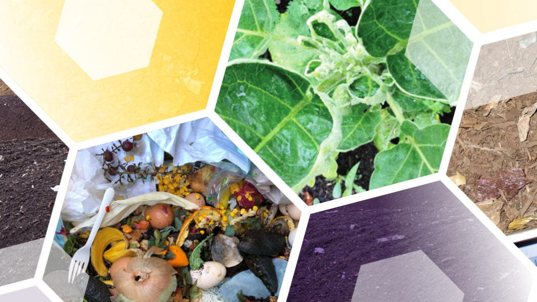EPA Reports Analyze Contamination In Food Waste Streams | BioCycle