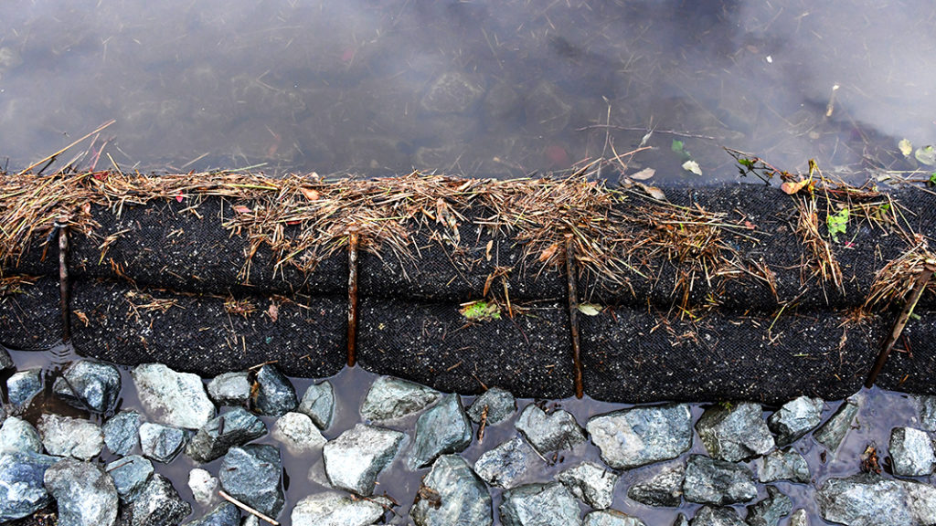 Using Compost In Storm Water Infrastructure Retrofits | BioCycle