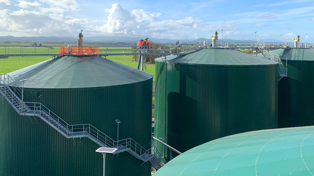 Shell Oil’s Dairy Manure To RNG Project Starts Up | BioCycle