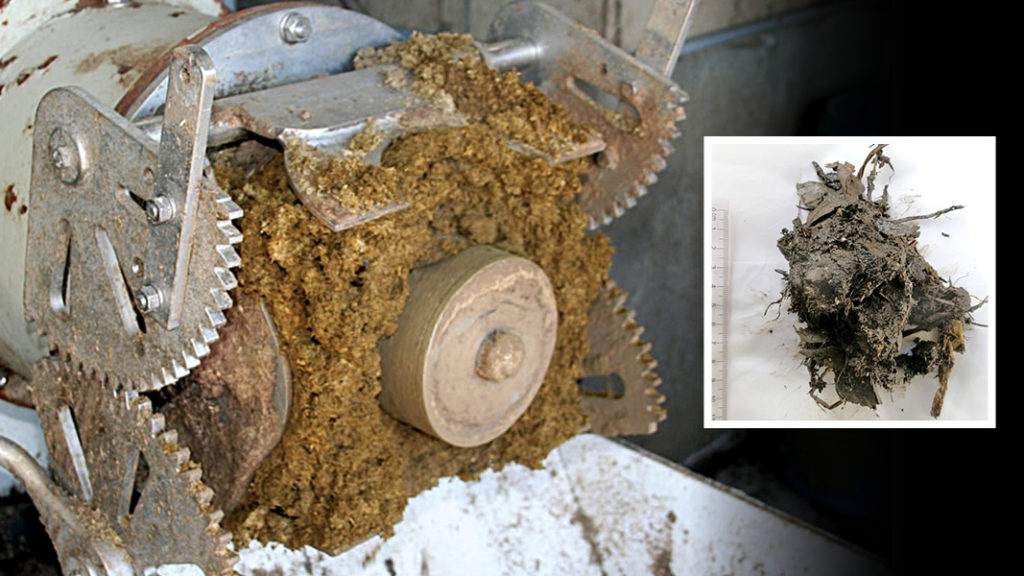 Digestate Quality Alliance | BioCycle