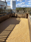 101 For Digester Sizing And RNG Performance Modeling | BioCycle