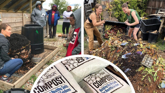 The First Community Composter Census | BioCycle