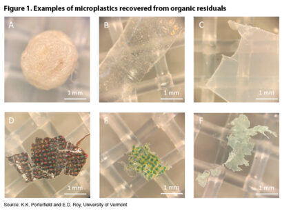 Microplastics: The What, Where, Why And Impact | BioCycle