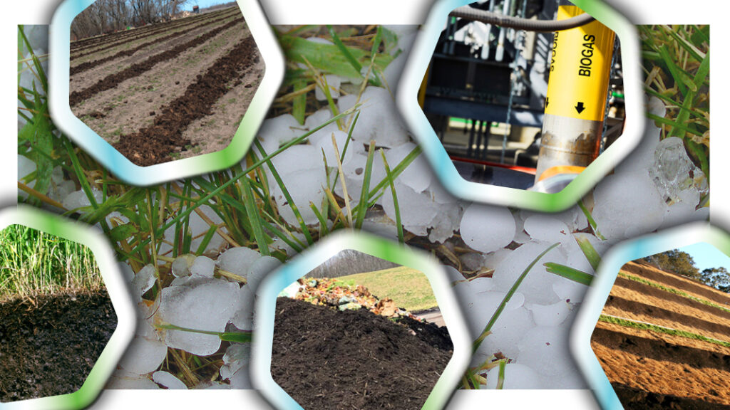 Commentary: Instant Replay | BioCycle