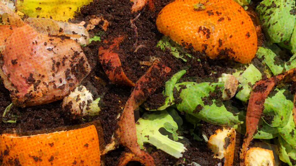 BioCycle | The Organics Recycling Authority