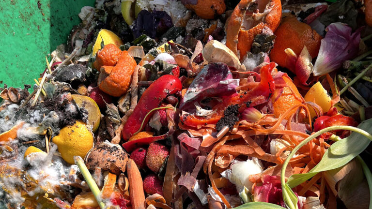 BioCycle | The Organics Recycling Authority