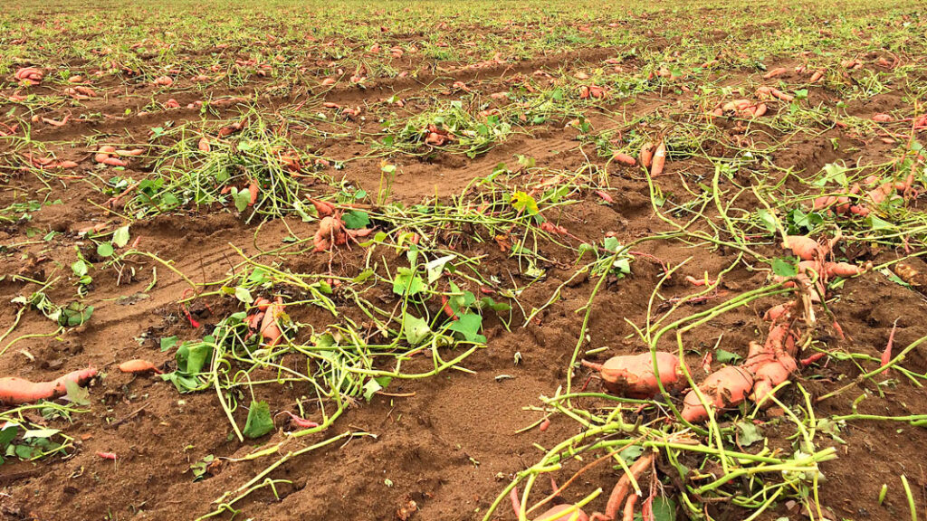 BioCycle | The Organics Recycling Authority