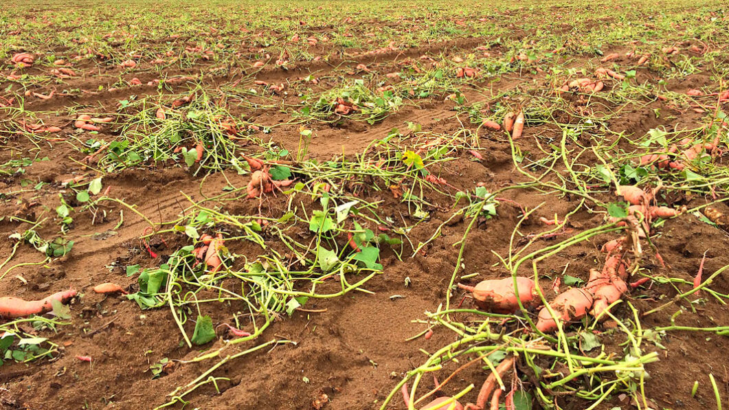 BioCycle | The Organics Recycling Authority