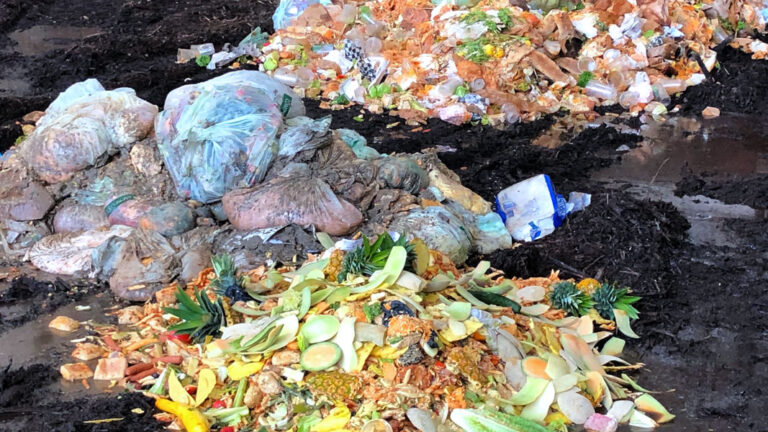 Food Waste Archives | BioCycle